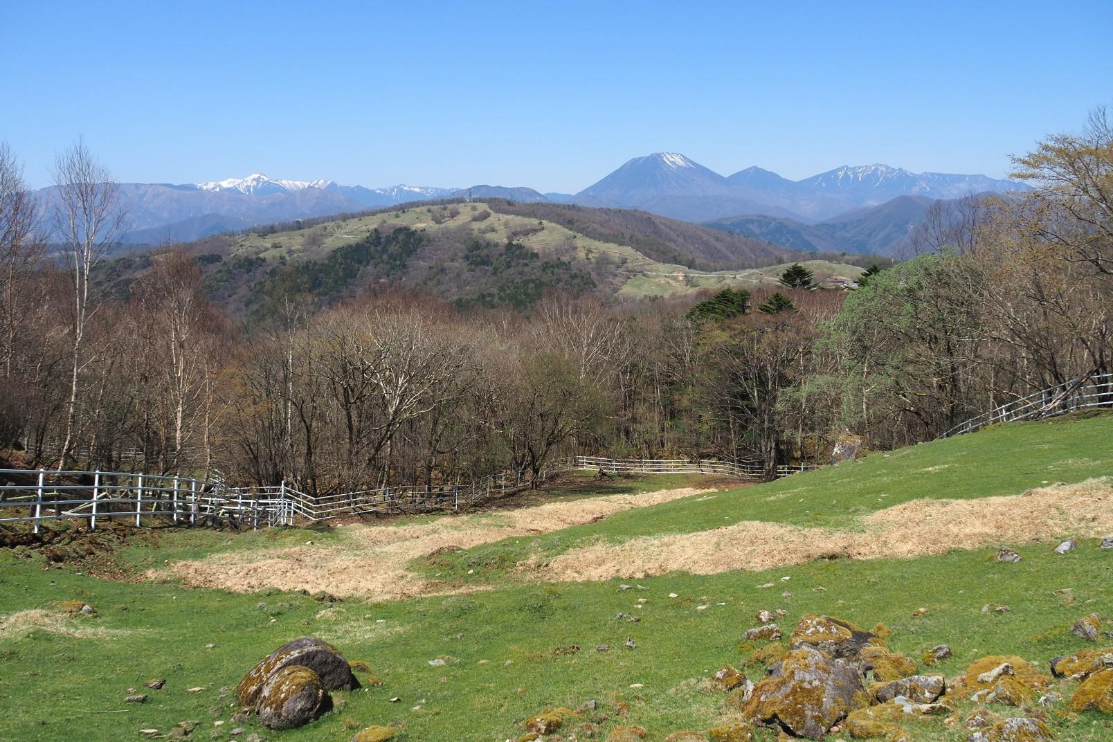 井戸湿原-2025-04-30 / kuramanさんの横根山・方塞山・井戸湿原の活動データ | YAMAP / ヤマップ