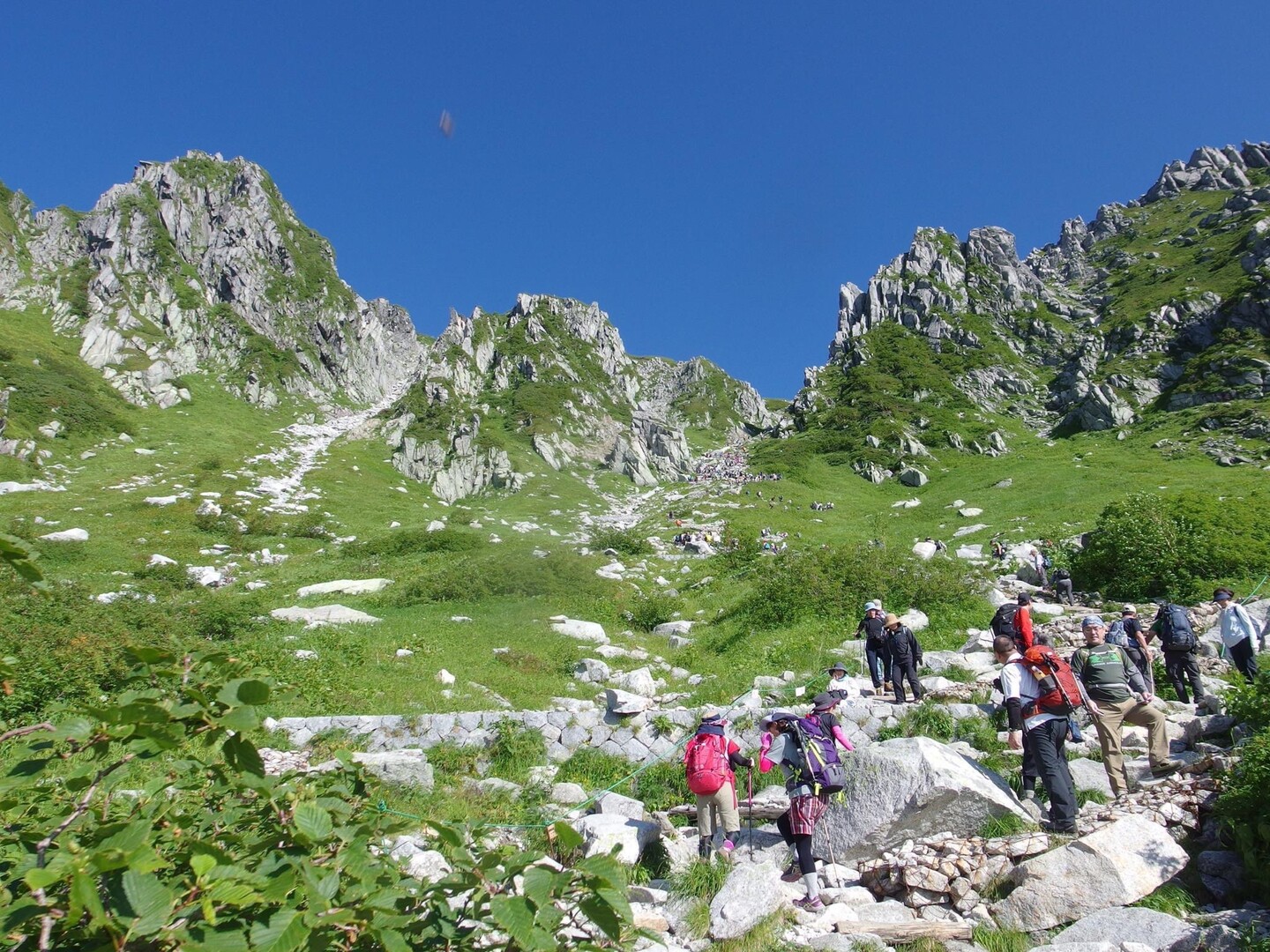 2016年8月7日 母娘登山 花の季節①... / まろんさんのモーメント | YAMAP / ヤマップ