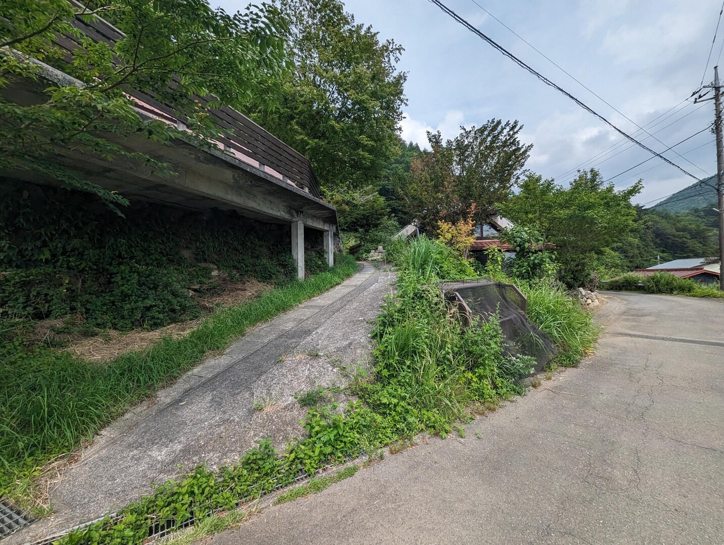 mz37さんの投稿したフィールドメモ | YAMAP / ヤマップ