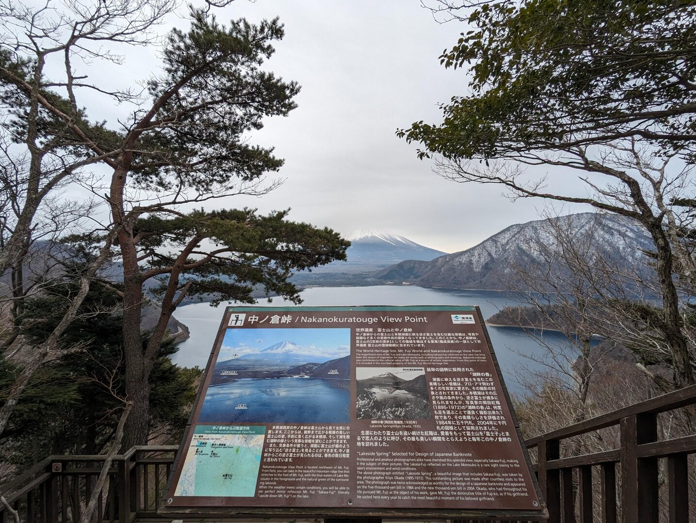 竜ヶ岳〜パノラマ台 / ko-riさんの毛無山・雨ヶ岳・竜ヶ岳の活動データ | YAMAP / ヤマップ