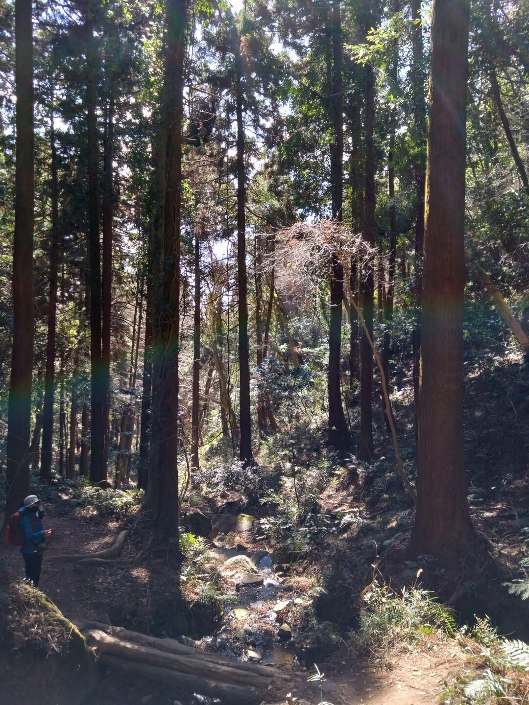 尖浅間山・宝篋山 / Keyさんの宝篋山・富岡山の活動データ | YAMAP / ヤマップ