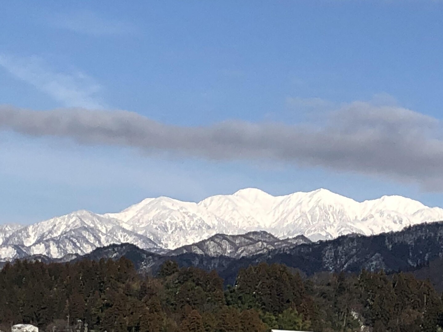 尖山 / mag.hさんの尖山の活動データ | YAMAP / ヤマップ