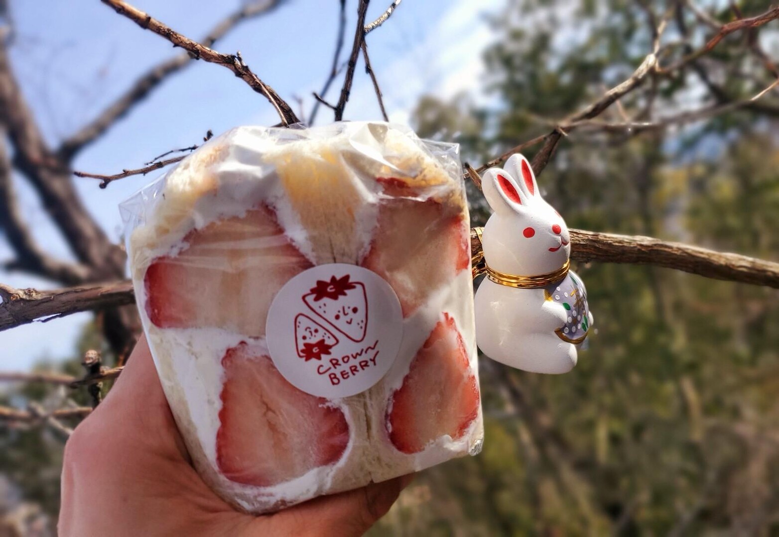 金華山サークル / 🍒sa-ki🍒さんの金華山・洞山・舟伏山の活動データ | YAMAP / ヤマップ