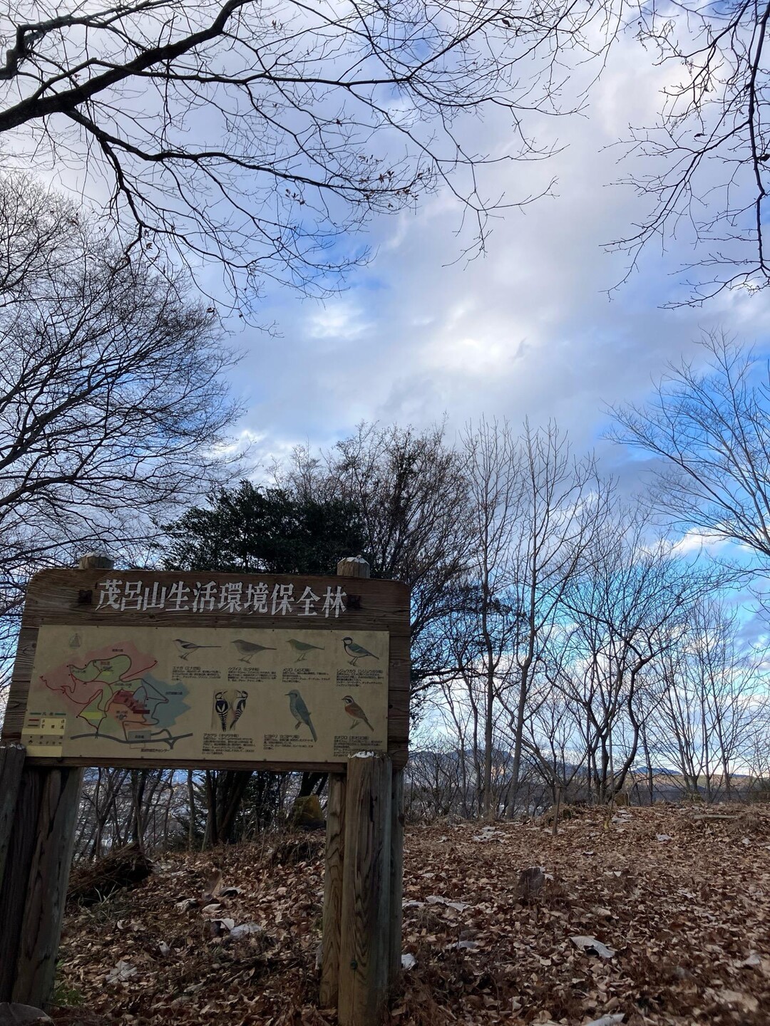 茂呂山 / iwaさんの宇都宮市の活動日記 | YAMAP / ヤマップ