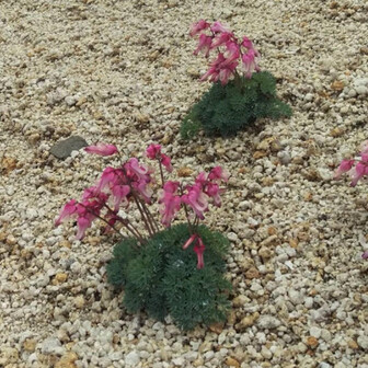 Leo.sのページ | YAMAP / ヤマップ