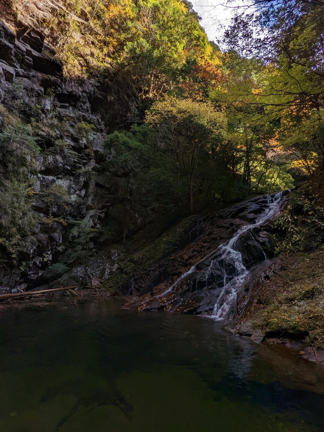 tkhsさんの投稿したフィールドメモ | YAMAP / ヤマップ