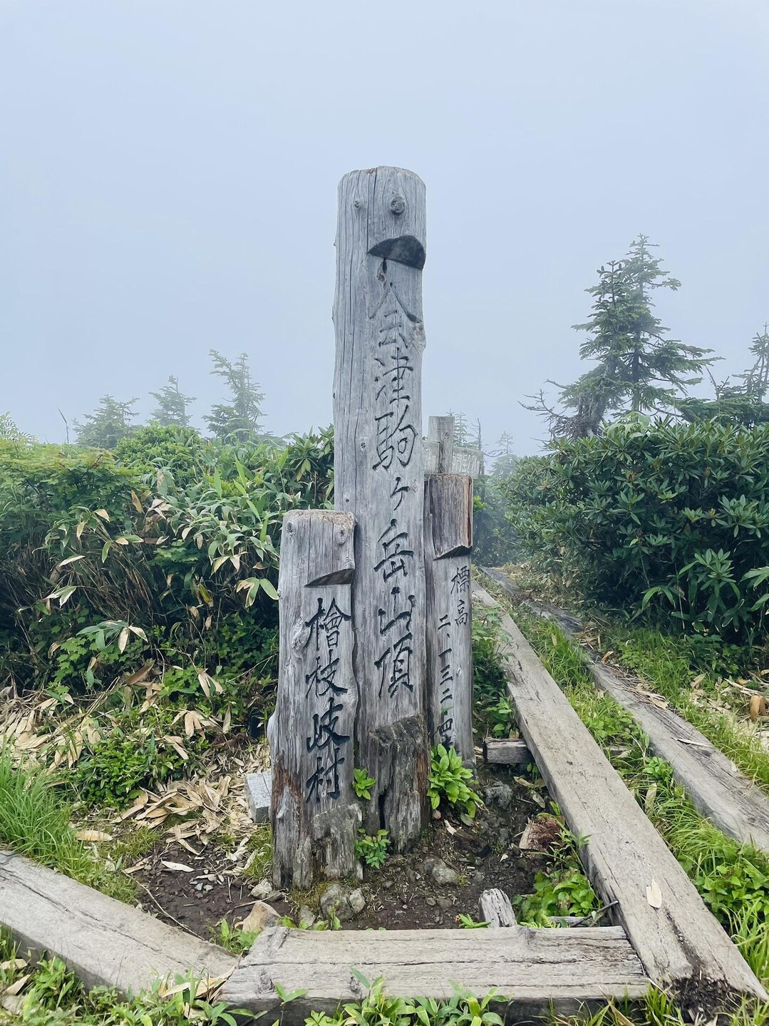 百名山会津駒ヶ岳初登頂〜 / cha-shuさんの会津駒ヶ岳の活動データ | YAMAP / ヤマップ