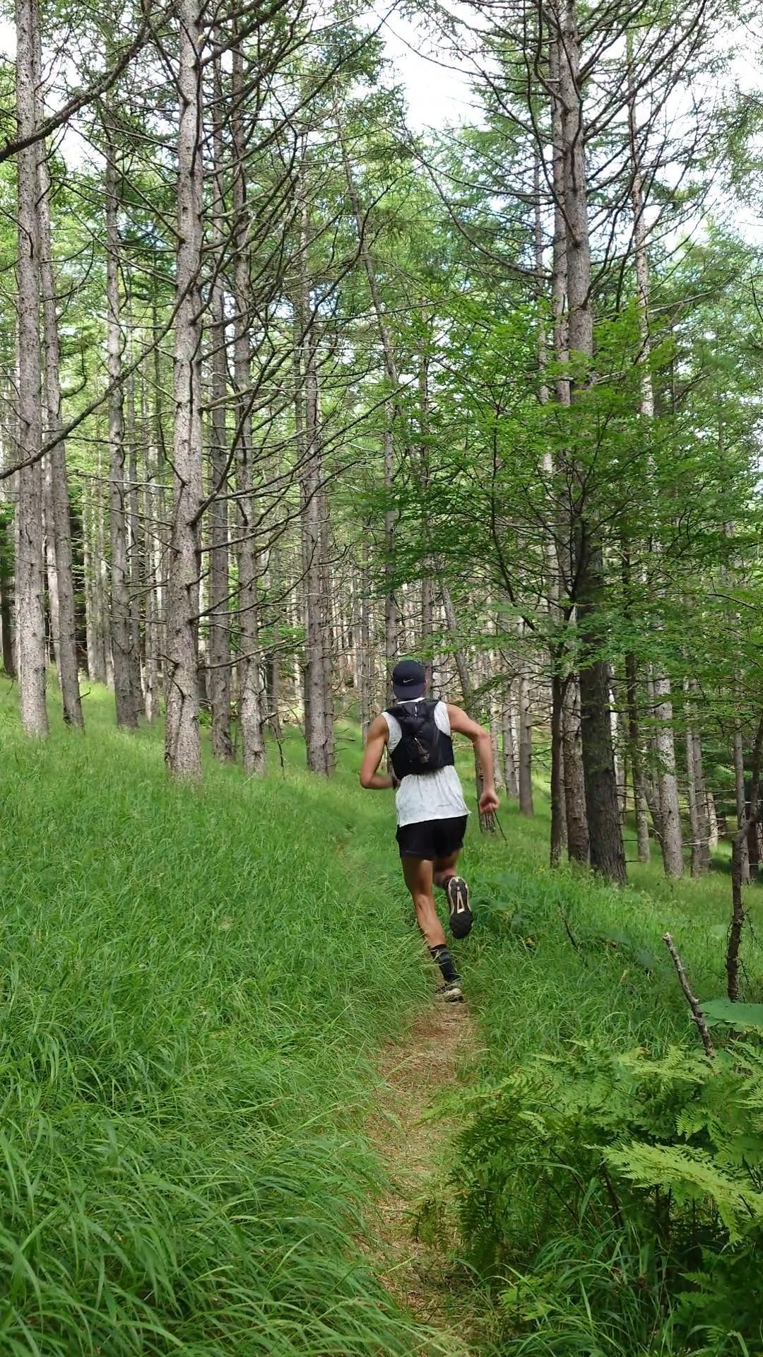 仙丈ヶ岳トレイルラン🏃‍♂ / ゆーき@mountain_athleteさんの仙丈ヶ岳・伊那荒倉岳の活動データ | YAMAP / ヤマップ