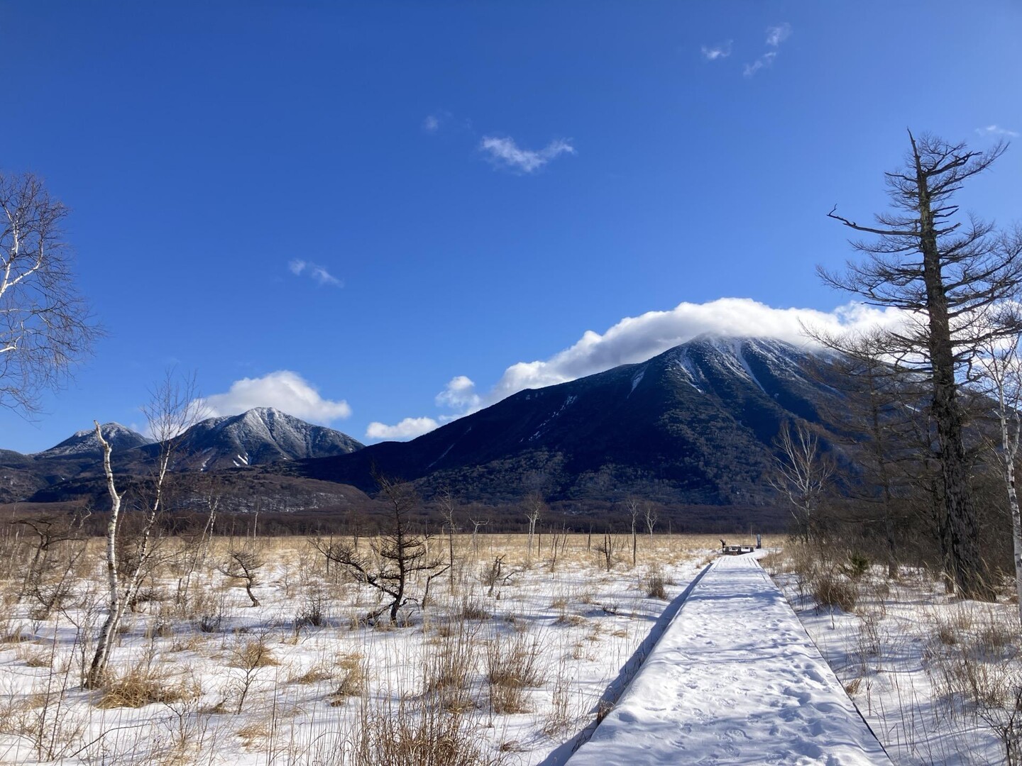 戦場ヶ原【赤沼〜北戦場】 / iwaさんの男体山の活動日記 | YAMAP / ヤマップ