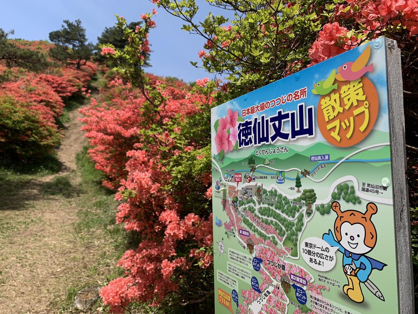 東京ドーム10個分の広さ！徳仙丈山 / tomoさんの徳仙丈山の活動データ | YAMAP / ヤマップ