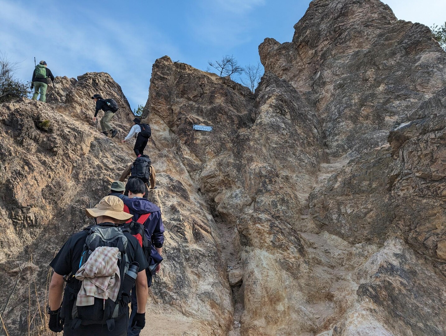 鉢伏山・旗振山・鉄拐山・高倉山・栂尾山・横尾山・東山 / yo-koさんの六甲山・長峰山・摩耶山の活動データ | YAMAP / ヤマップ