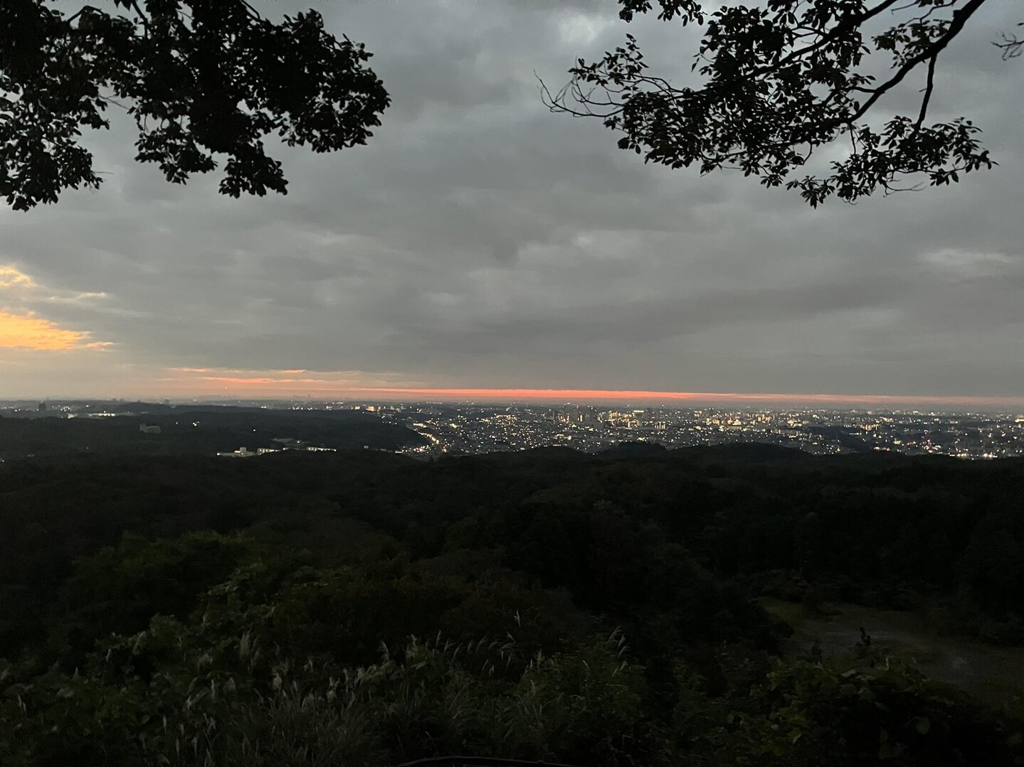 牡龍籠山からお早う御座います。☕️ / 🌿AZUSA 🌸伍 🥾さんのモーメント | YAMAP / ヤマップ
