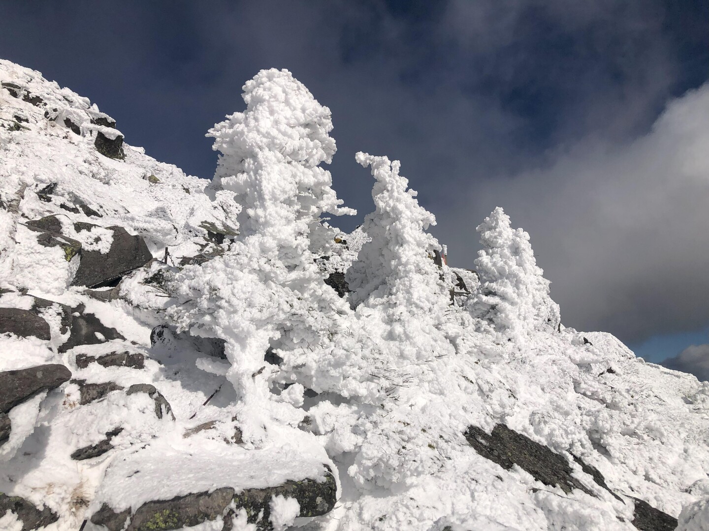 蓼科山 / victorioさんの蓼科山・横岳・縞枯山の活動データ | YAMAP / ヤマップ