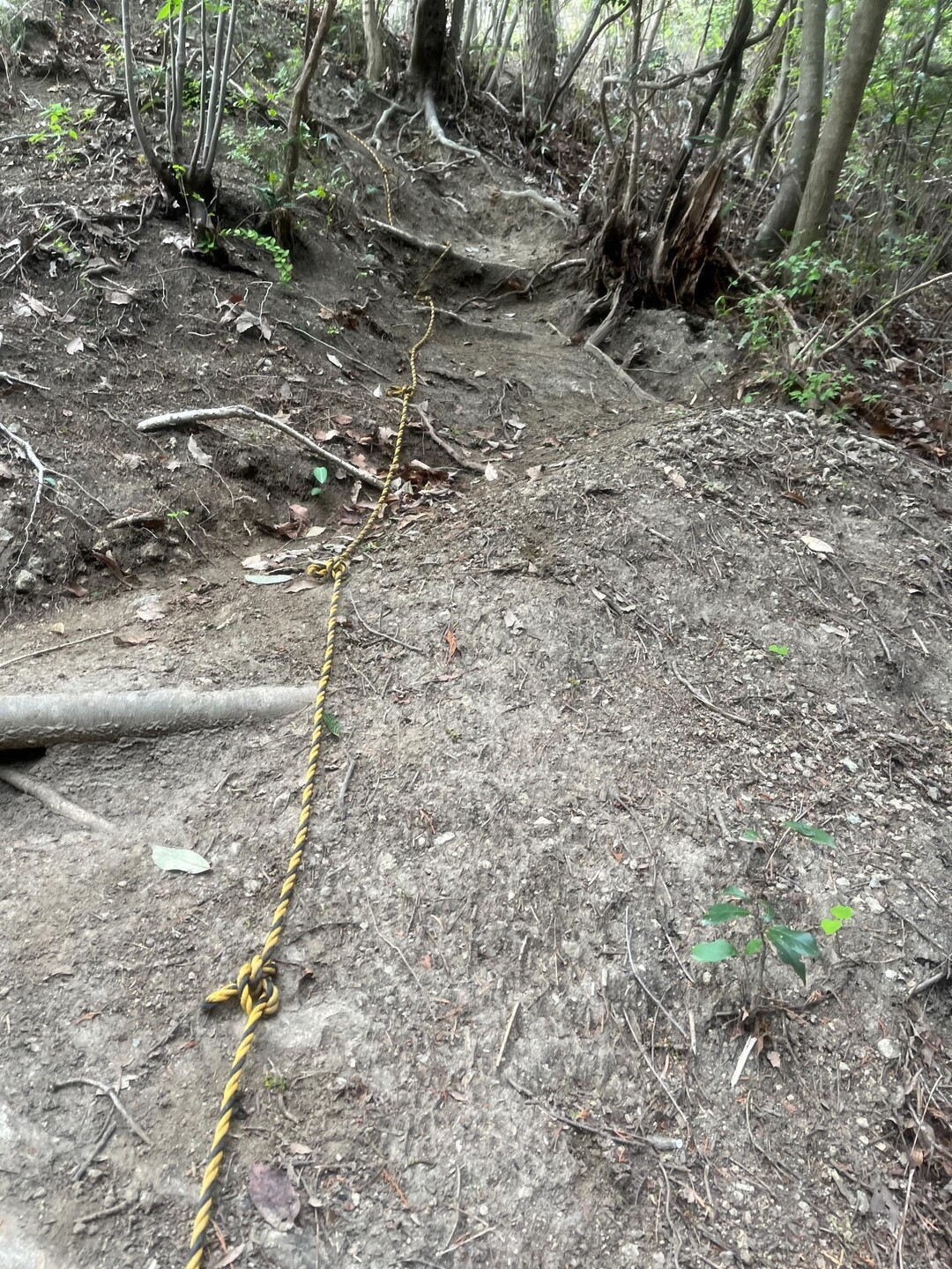 mskふぅさんの投稿したフィールドメモ | YAMAP / ヤマップ