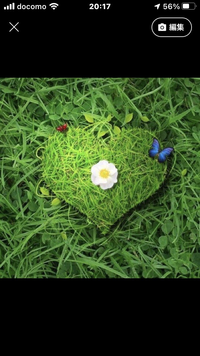 moboのページ | YAMAP / ヤマップ