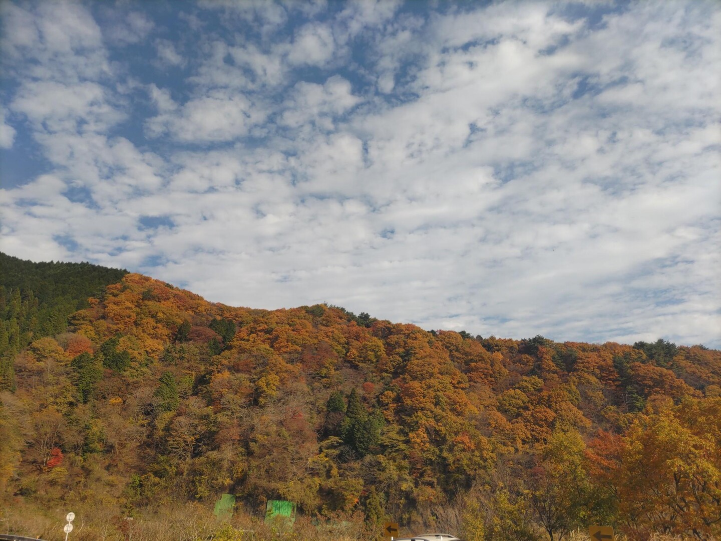 伊吹山 / meriendaさんの伊吹山・伊吹高原・御座峰の活動データ | YAMAP / ヤマップ