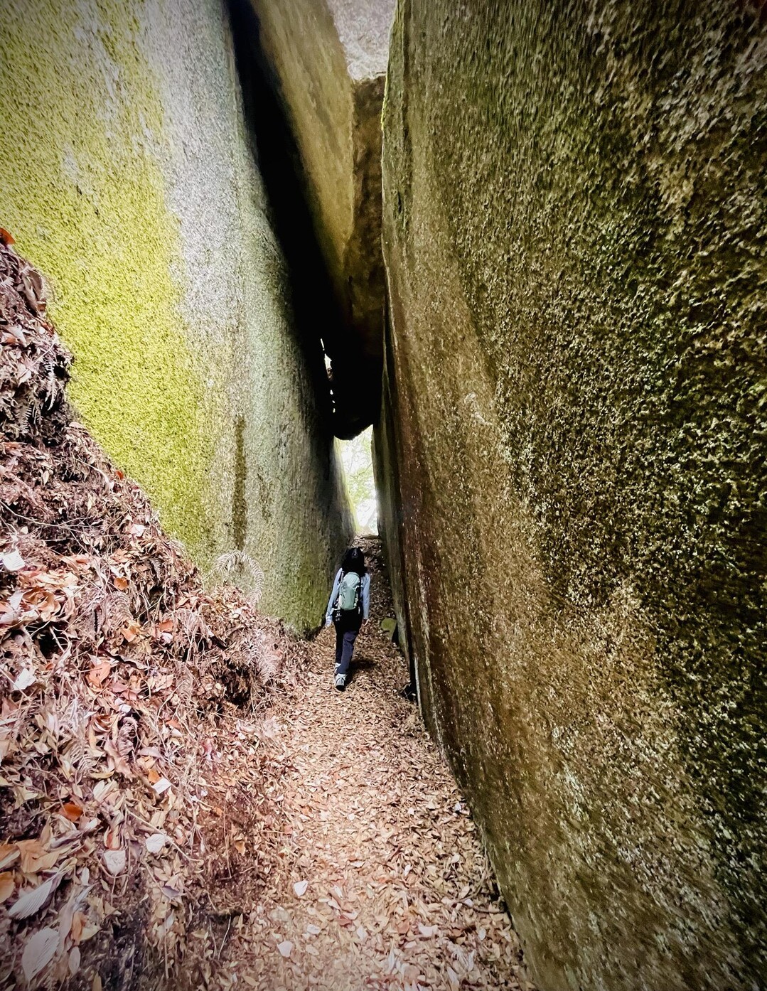 岩石山・稲荷山 / siopanさんの岩石山（岩石城）の活動データ | YAMAP / ヤマップ