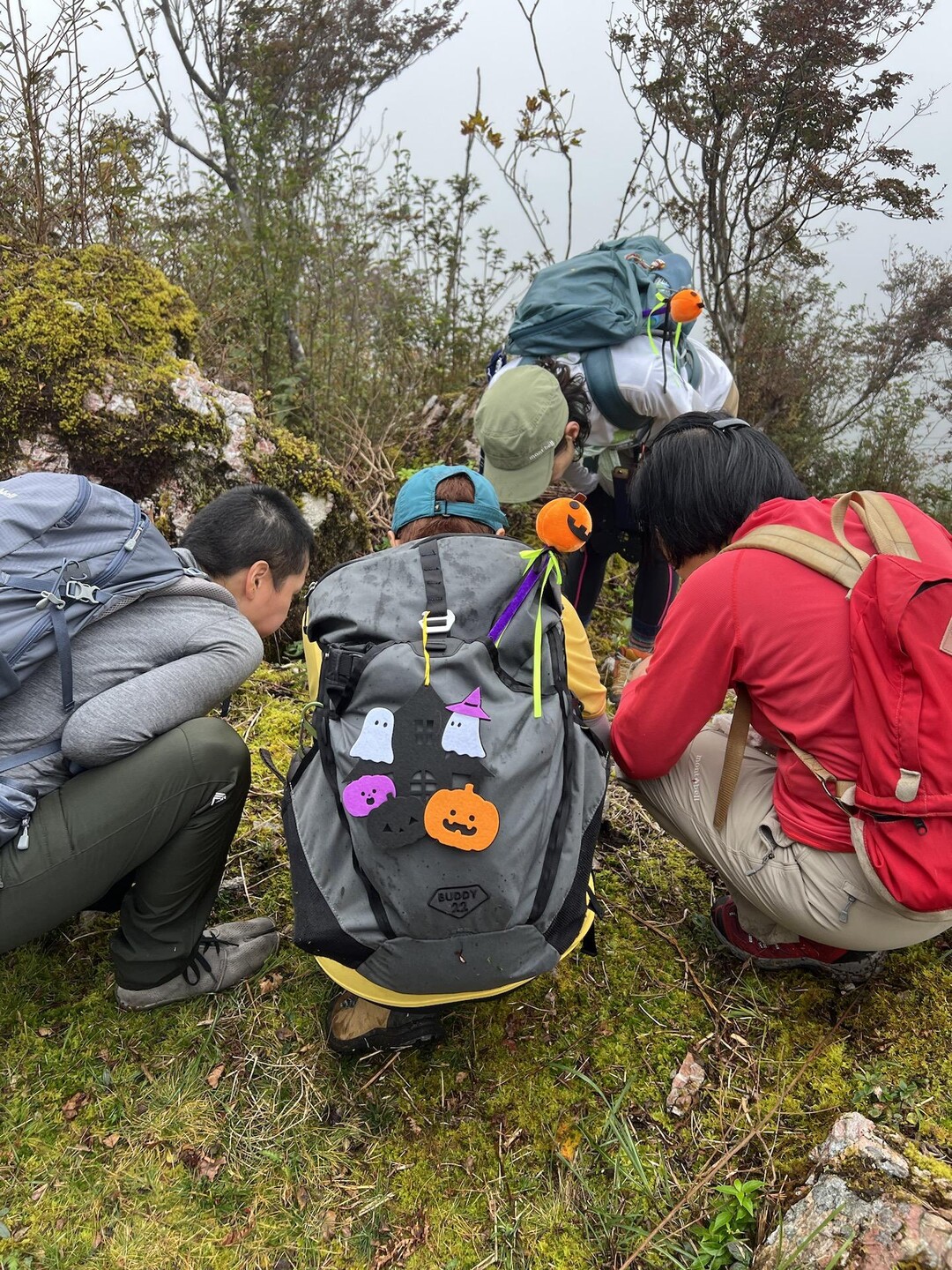 とさんぽ企画で笹ヶ峰へ😀 / marukoさんの工石山の活動データ | YAMAP / ヤマップ
