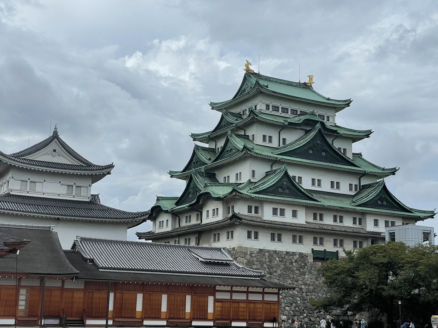 今月は3週連続で展示会出展のため、山⛰に... / Harukiさんのモーメント | YAMAP / ヤマップ