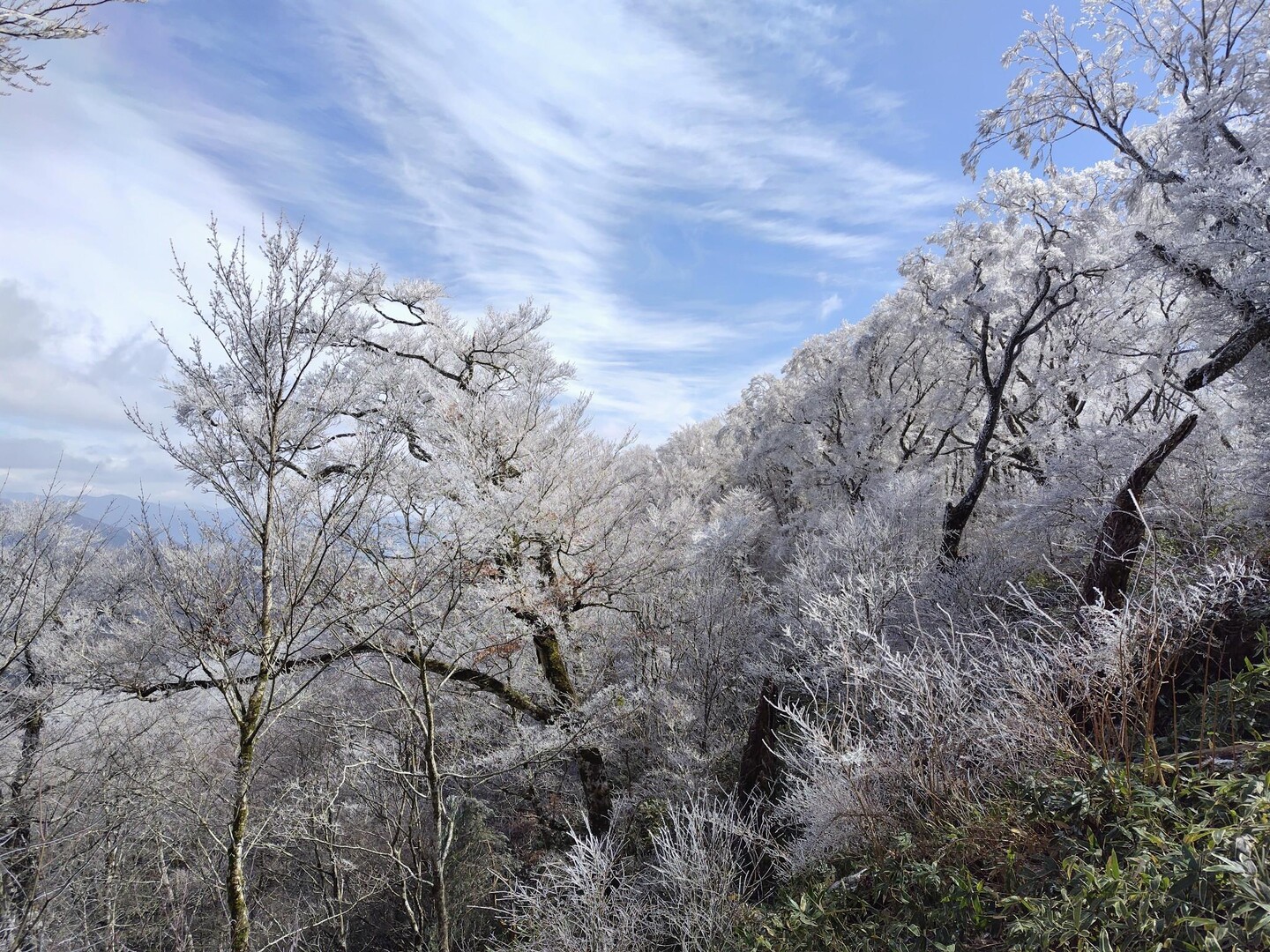 皿ヶ嶺 / 10beさんの皿ヶ嶺・梅ヶ谷山・うなめごの活動データ | YAMAP / ヤマップ