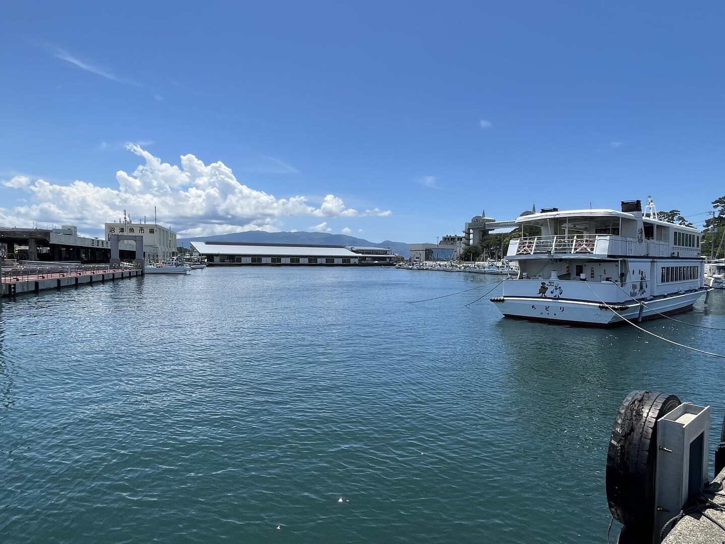 東海道五十三次 (三島宿・沼津宿・原宿・吉原宿)-2023-06-13 / KAIさんの東海道五十三次 (三島宿・沼津宿・原宿・吉原宿)の活動データ | YAMAP / ヤマップ