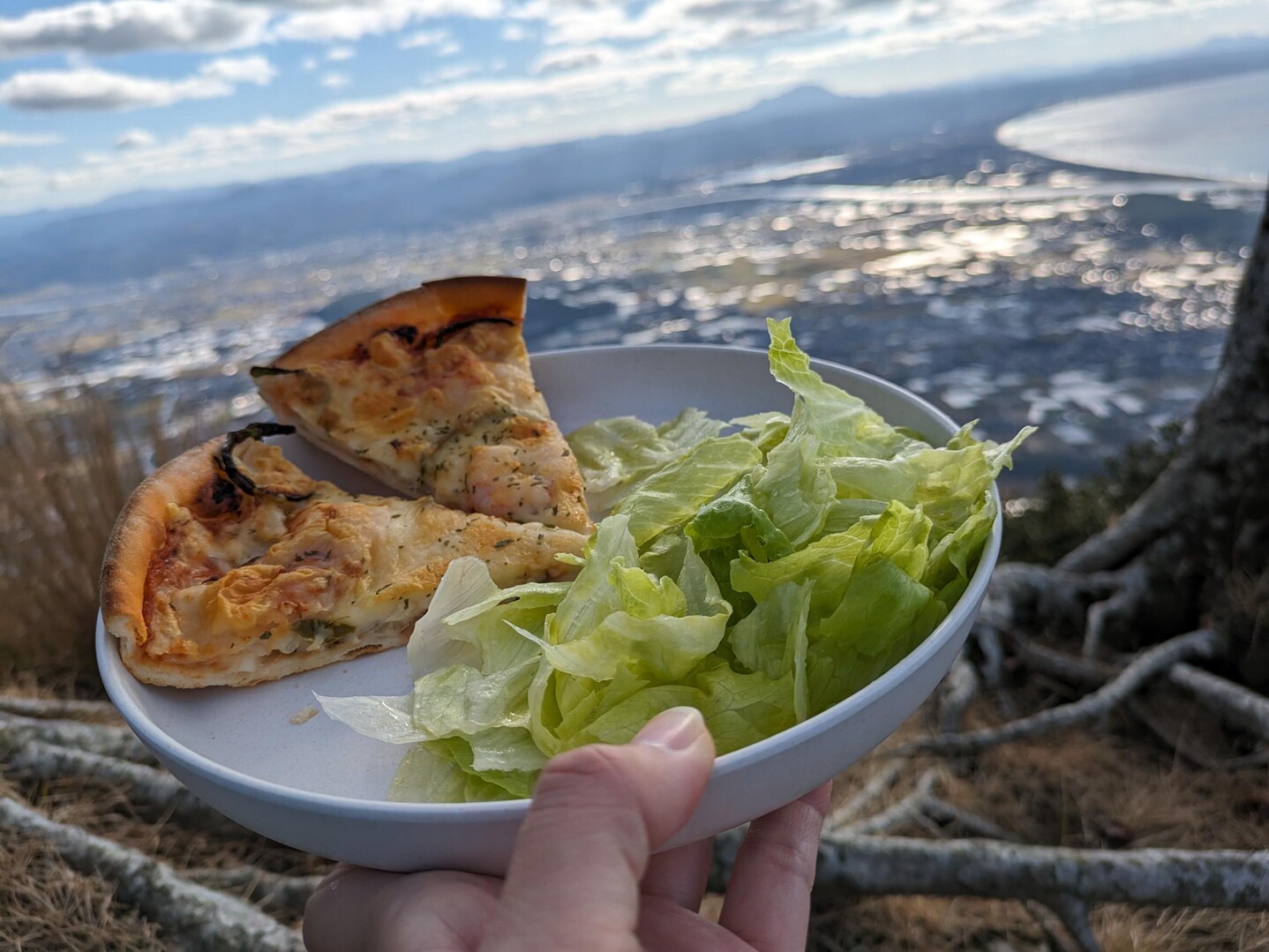 弥山 2023年12月13日 / YOKOさんの鼻高山・弥山・旅伏山の活動データ | YAMAP / ヤマップ