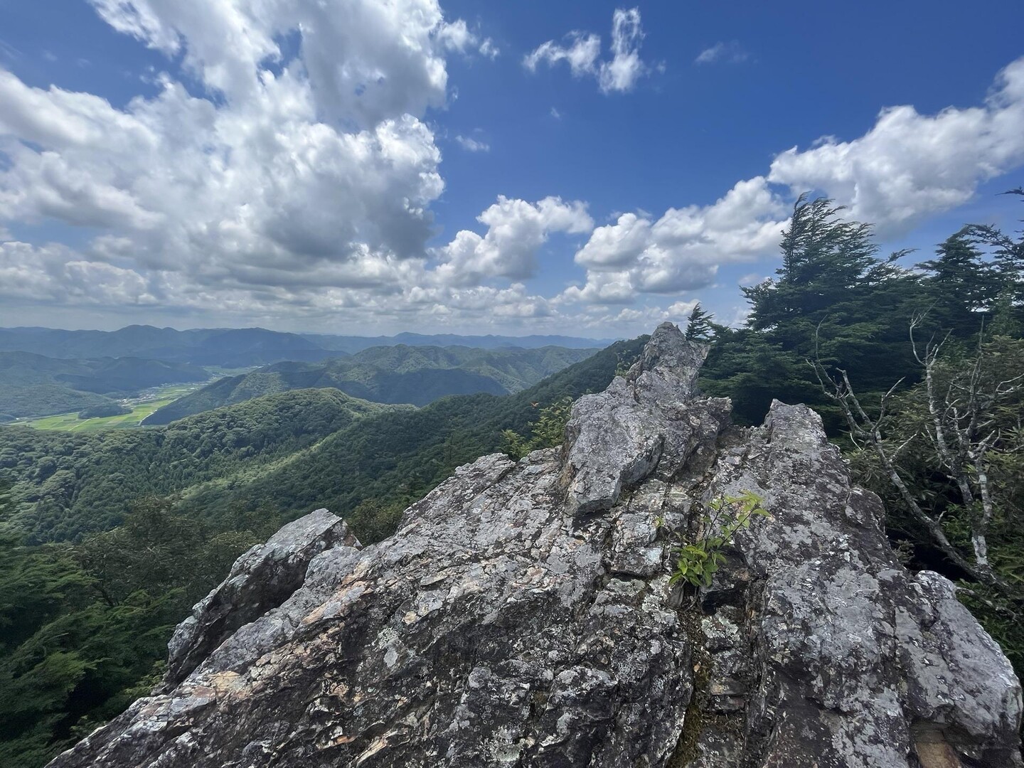 サルガイチ山・長谷山・八ヶ尾山＋筱見四十八滝 / ここさんの御嶽（三嶽）・小金ヶ嶽・西ヶ嶽の活動データ | YAMAP / ヤマップ