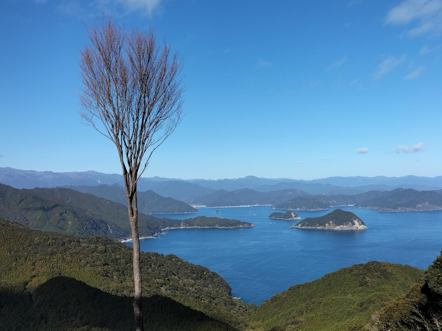 🌊itadaki-yama 397m ＆ ohai / watoさんの八鬼山・頂山・オハイの活動日記 | YAMAP / ヤマップ