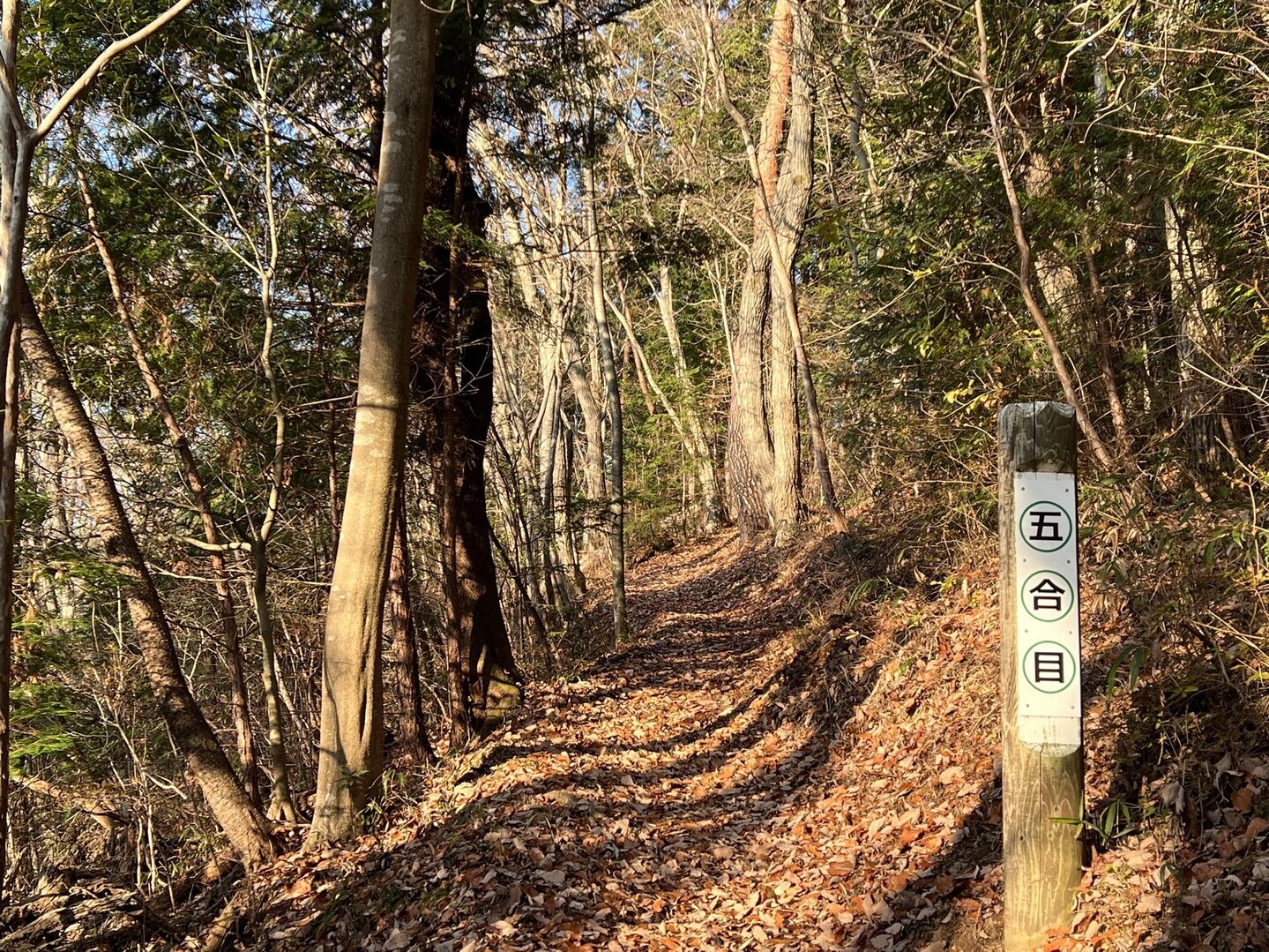 尺丈山 / NBさんの鷲子山・尺丈山の活動データ | YAMAP / ヤマップ