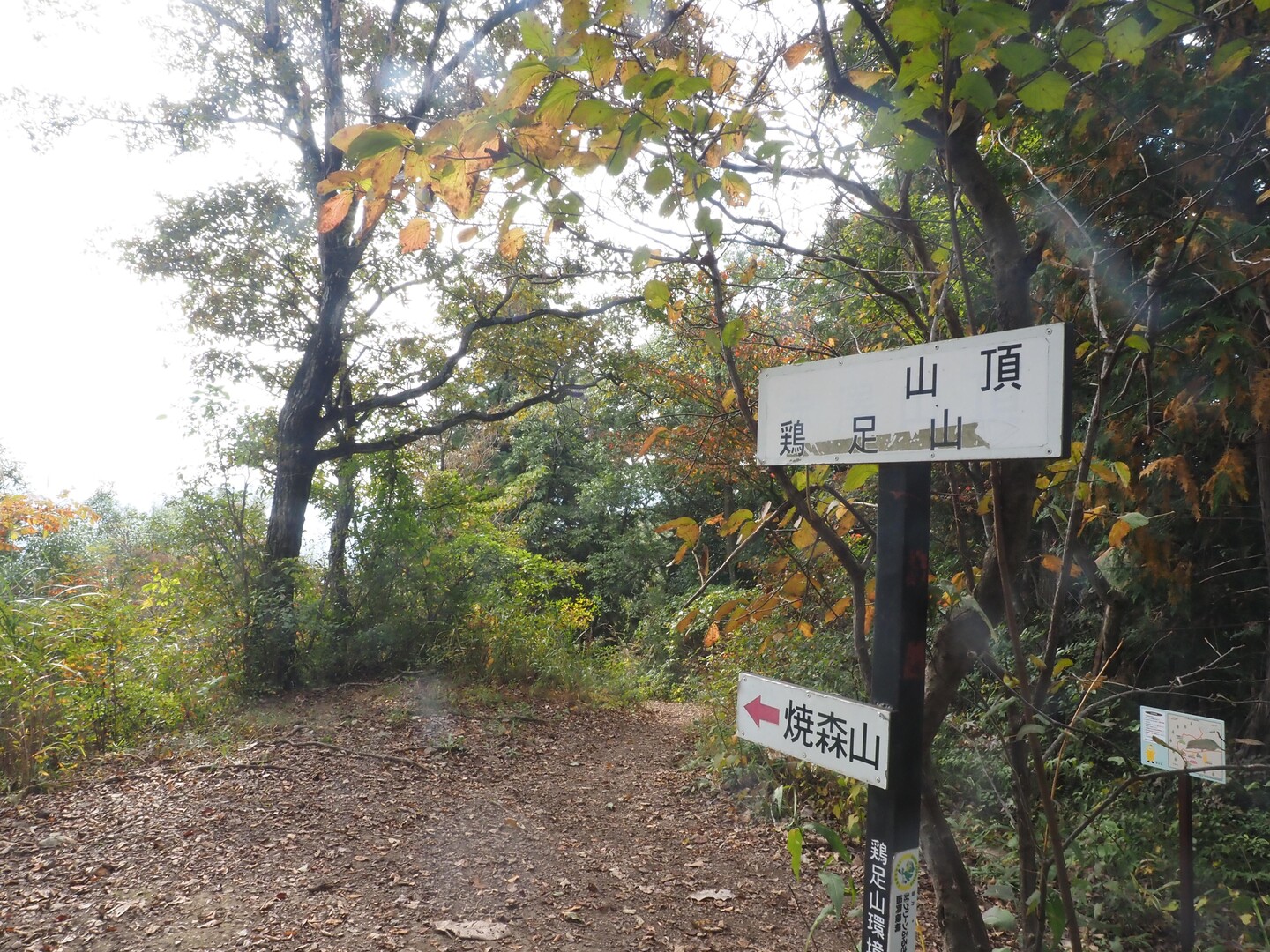 焼森山・鶏足山・赤沢富士 / tz_sskさんの焼森山・鶏足山の活動データ | YAMAP / ヤマップ