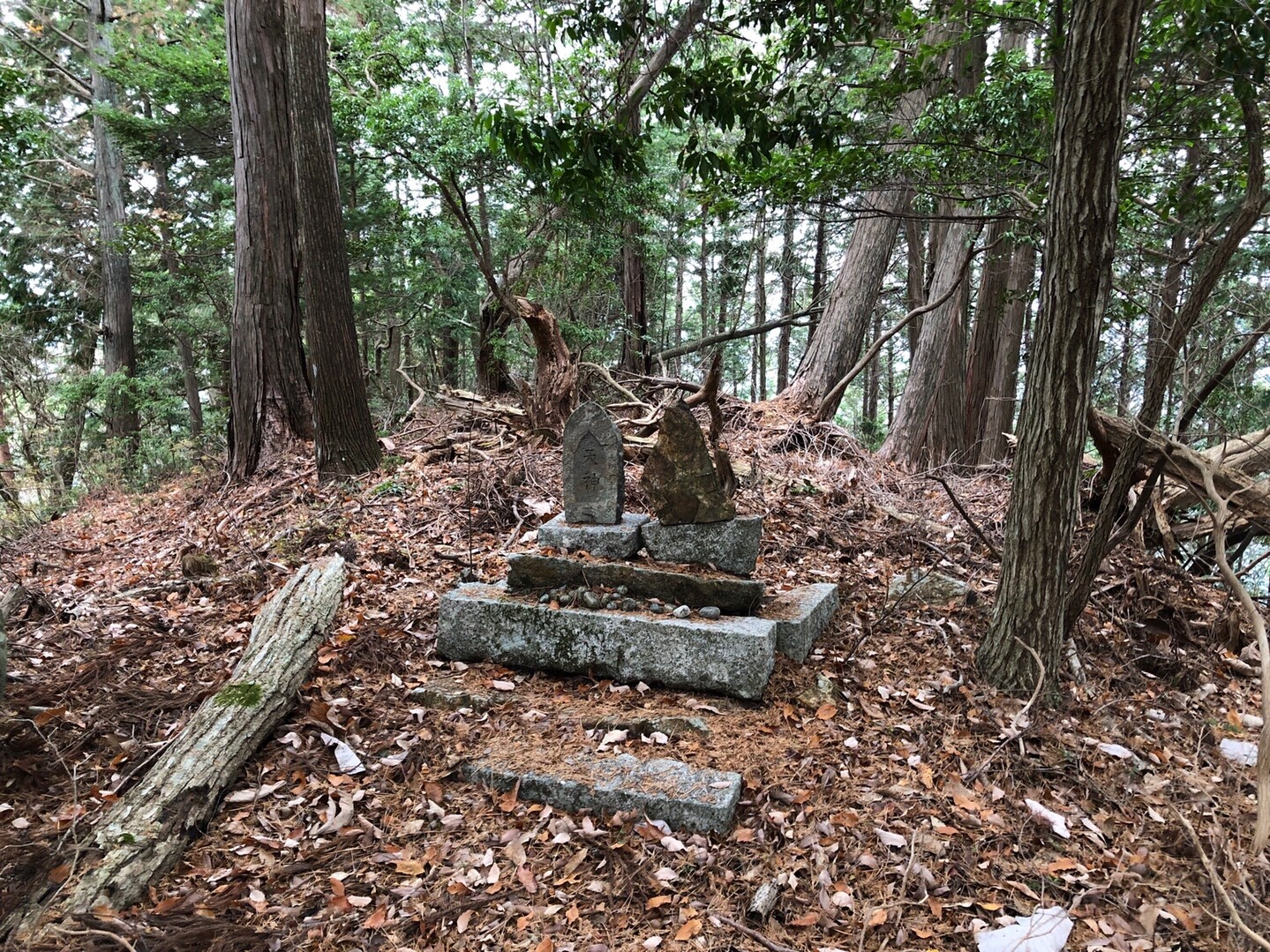 天神山552m〜 大船権現山598m周回 / M K1218さんの見行山の活動データ | YAMAP / ヤマップ