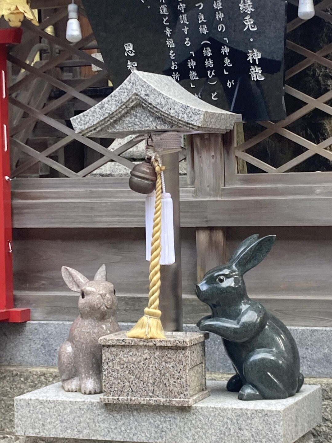 "2023初歩き" かしわら水仙郷〜恩智神社 / annpapaさんの生駒山・神津嶽・大原山の活動データ | YAMAP / ヤマップ