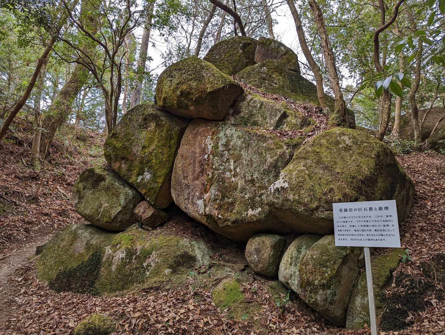 短時間ハイク② / mktさんの城山（妻木城跡）の活動データ | YAMAP / ヤマップ