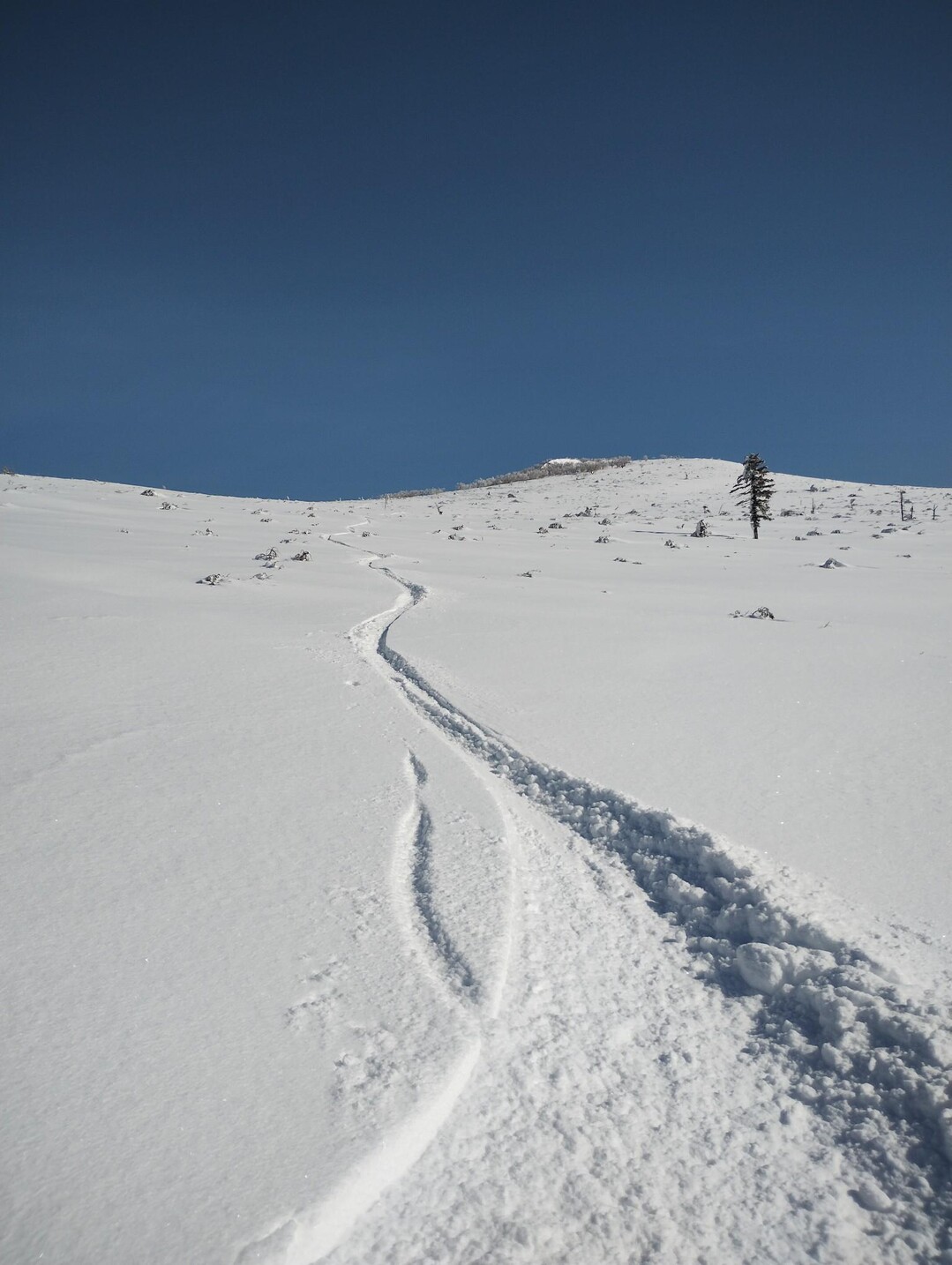 藻琴山BC ski〜ユルユル斜面パラダイス / 独田さんの藻琴山の活動データ | YAMAP / ヤマップ