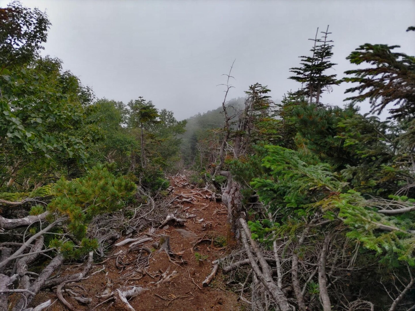 KORDERさんの投稿したフィールドメモ | YAMAP / ヤマップ