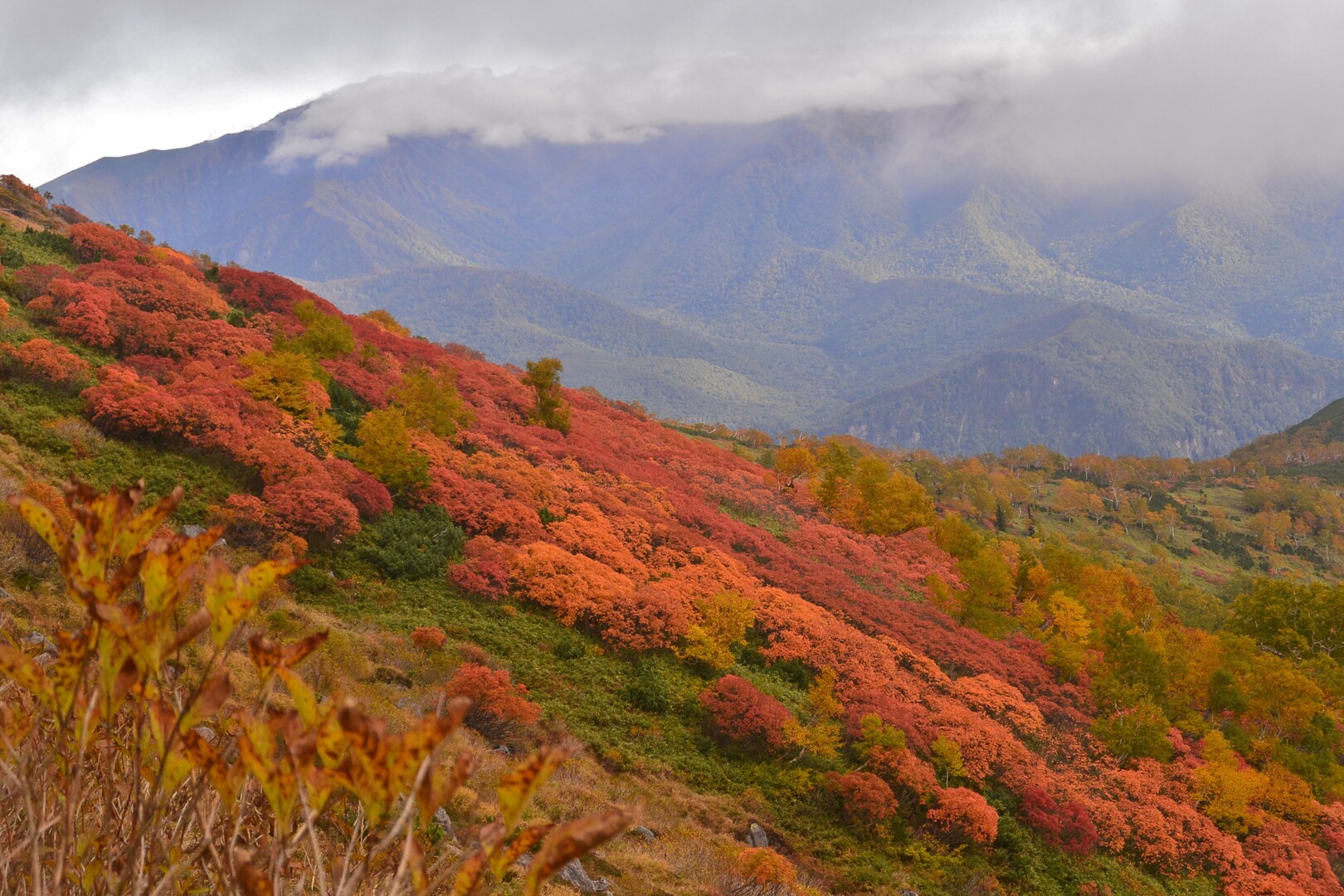 銀泉台から黒岳One way / ぺえすけさんの大雪山系・旭岳・トムラウシの活動データ | YAMAP / ヤマップ