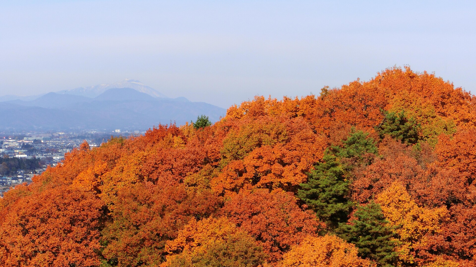 ★男山・国見山・珊瑚岳★晩秋の里山ハイキング😊🚶‍♂️🍁🍂 / まさくんさんの珊瑚岳・国見山の活動データ | YAMAP / ヤマップ