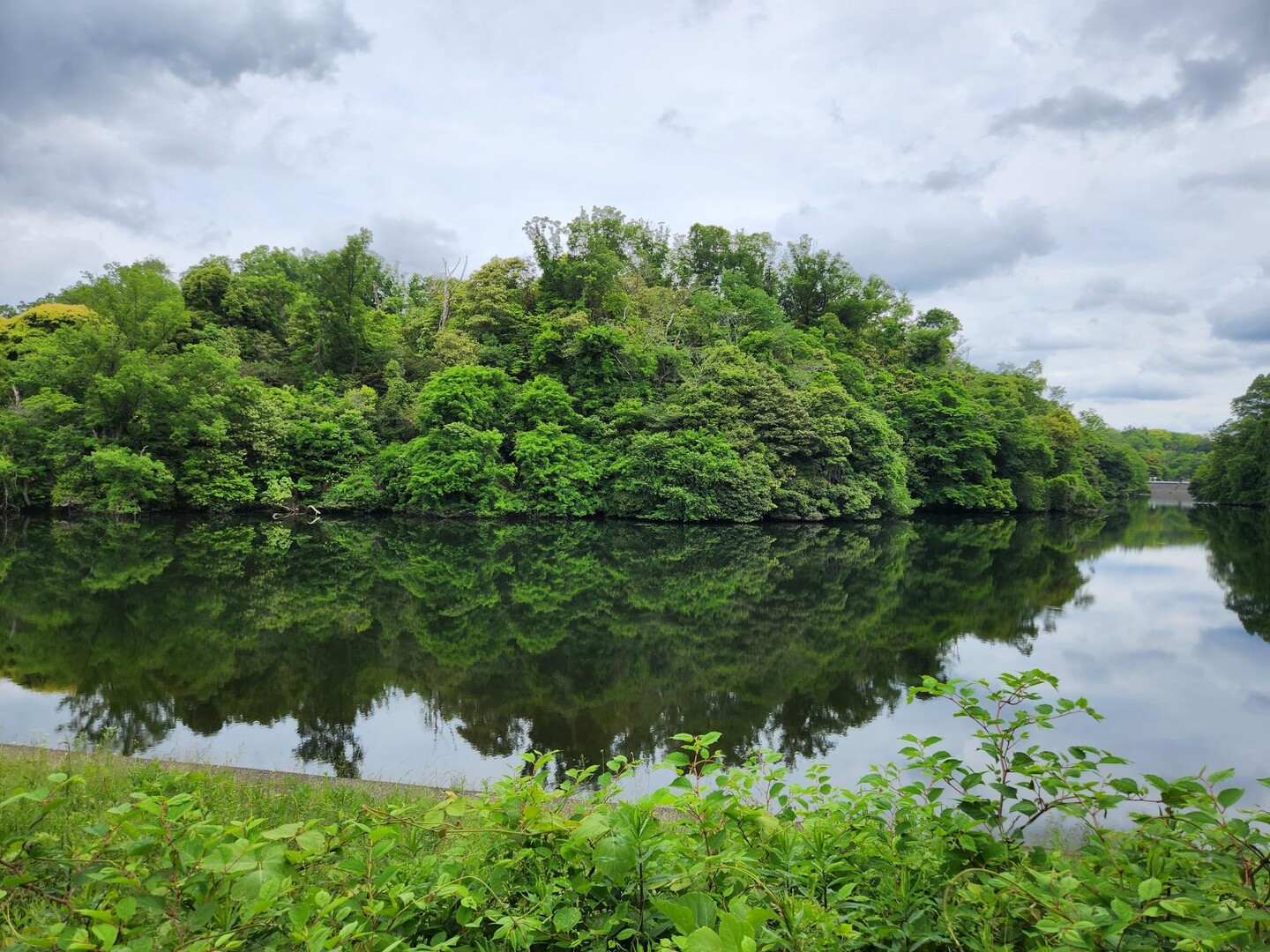 飯盛山 むろ池 / Cielさんの生駒山・神津嶽・大原山の活動日記 | YAMAP / ヤマップ