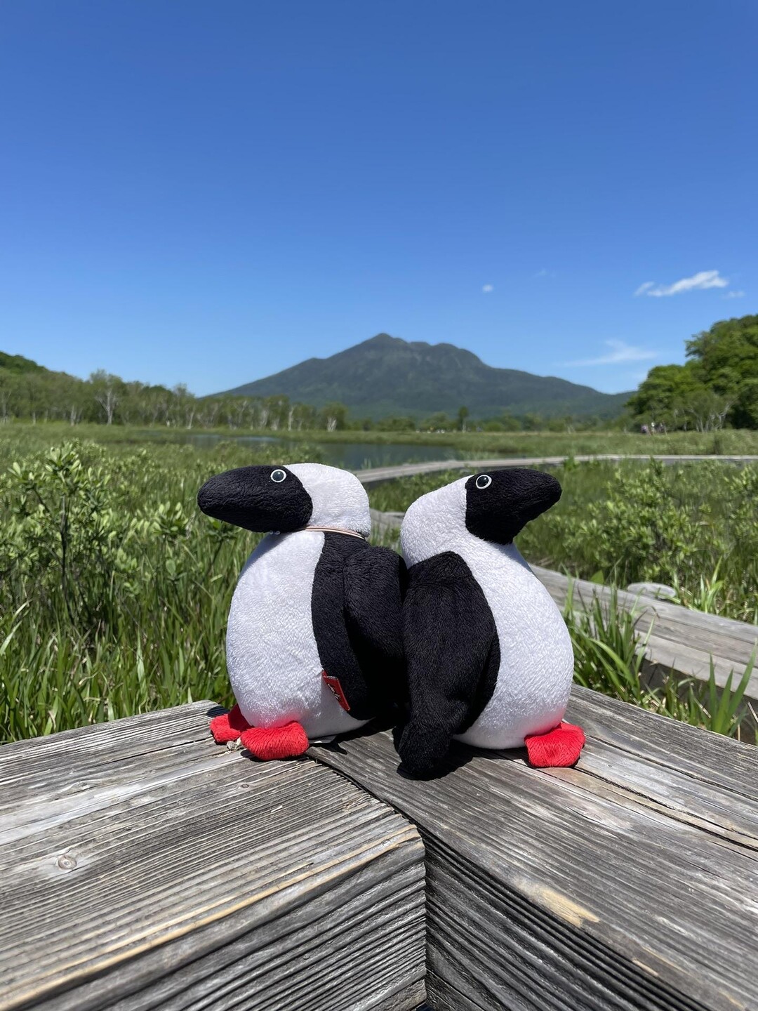 尾瀬と燧ヶ岳 / synさんの尾瀬・燧ヶ岳の活動データ | YAMAP / ヤマップ