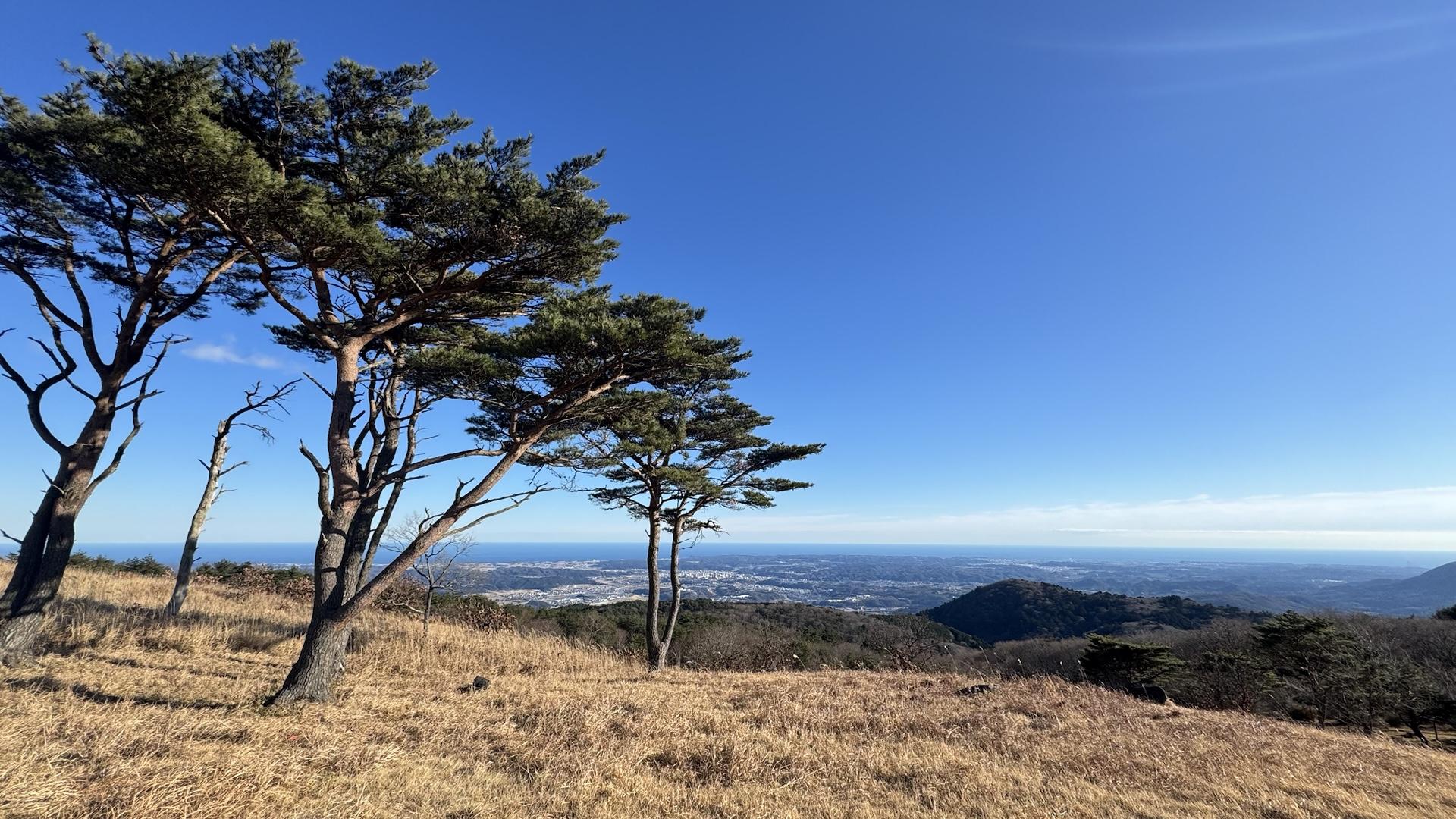 水石山Trail RUN / iGAKENさんの水石山・閼伽井嶽の活動データ | YAMAP / ヤマップ
