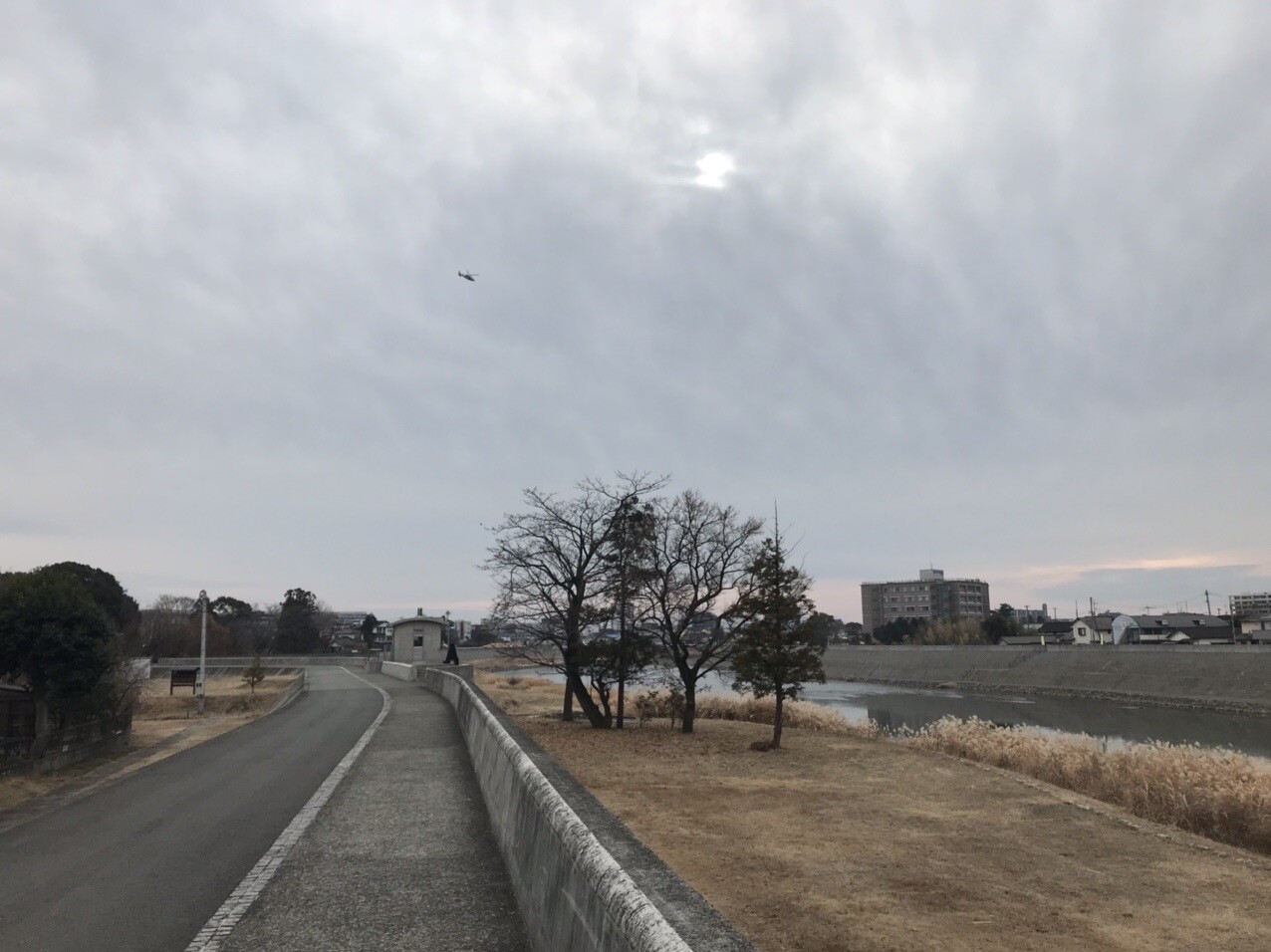人生初のハーフトレ ️ いつもの白川河川... / Naoさんのモーメント | YAMAP / ヤマップ