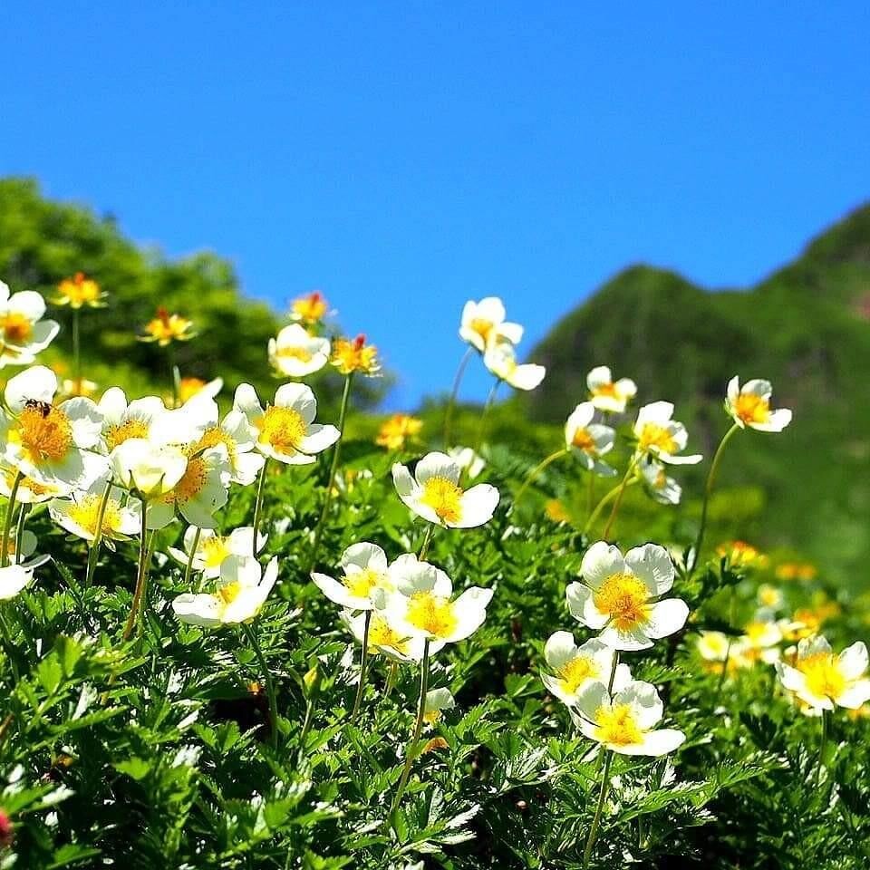 ムーミンが呼んでる…😌 奥方に頼んでみ... / 天ぷらケンジJyJyさんのモーメント | YAMAP / ヤマップ