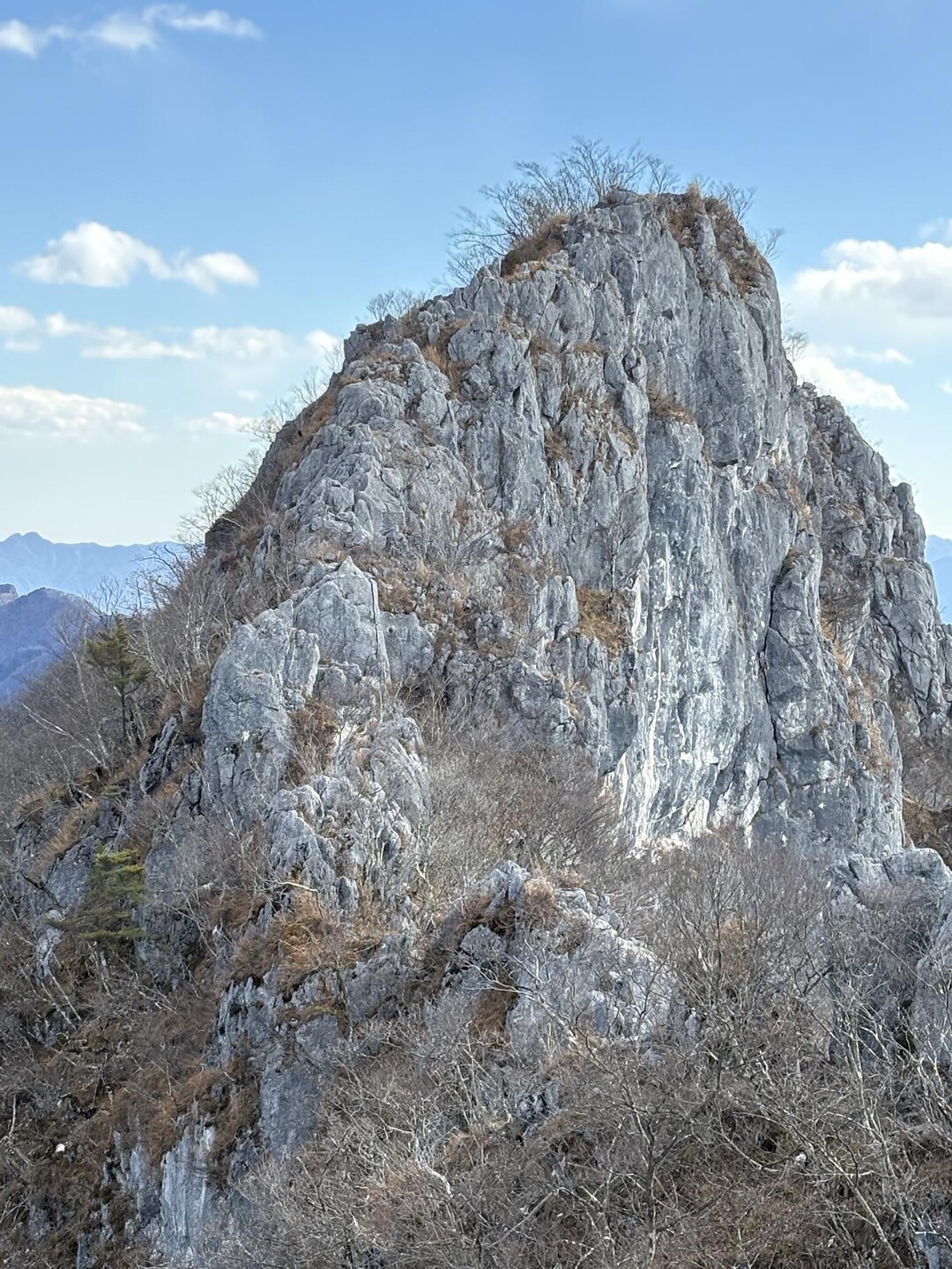 二子山東岳・二子山西岳 / トモスさんの両神山・諏訪山・二子山の活動日記 | YAMAP / ヤマップ