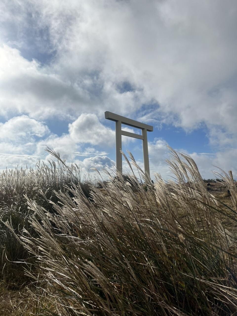 SARAのページ | YAMAP / ヤマップ