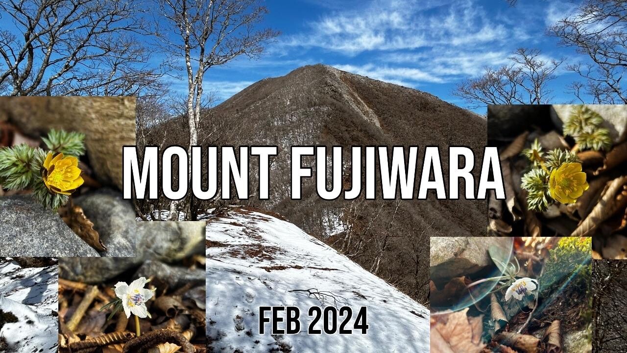 孫太尾根のビデオ https://yo... / Nandoさんのモーメント | YAMAP / ヤマップ