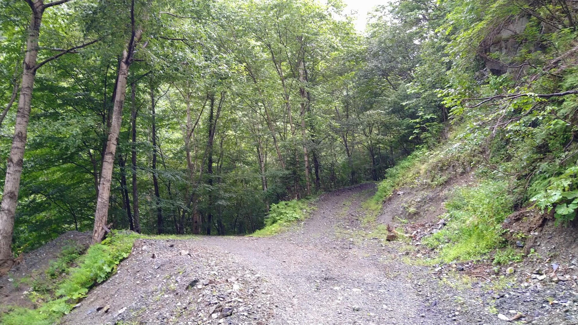 Mixさんの投稿したフィールドメモ | YAMAP / ヤマップ