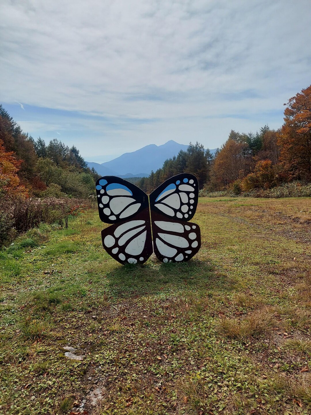 10/19-20 秋🍁を感じにgran deco / なみだうさこさんの観光の活動データ | YAMAP / ヤマップ