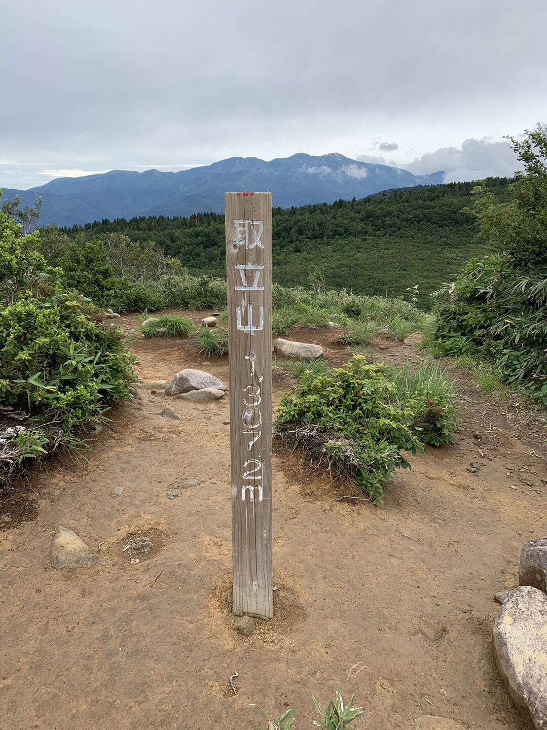 取立山-2019-07-21 / TKOさんの取立山の活動データ | YAMAP / ヤマップ