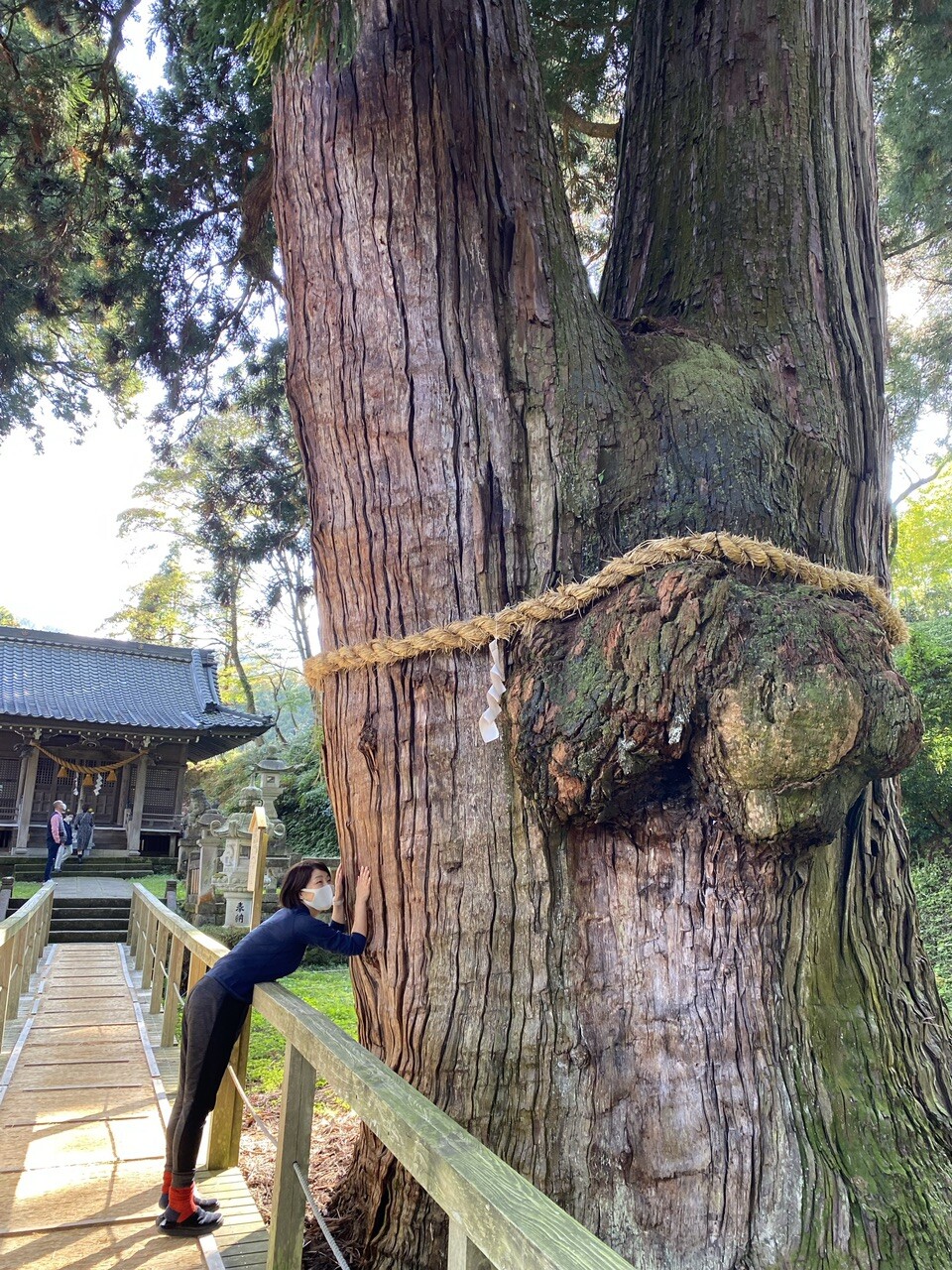 J子のページ | YAMAP / ヤマップ