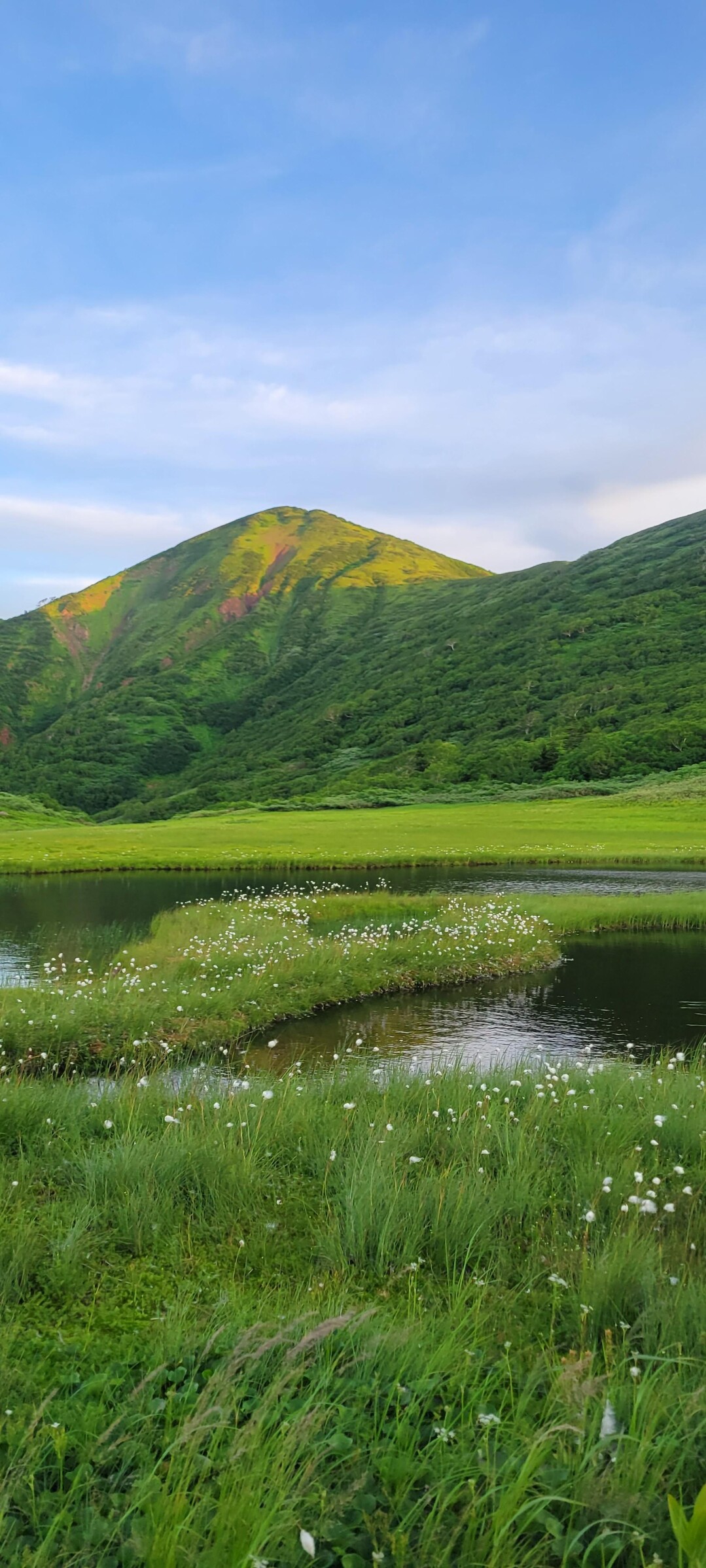 夏休みday3-4⛰️ 火打山 / くうさんの妙高山・火打山の活動日記 | YAMAP / ヤマップ